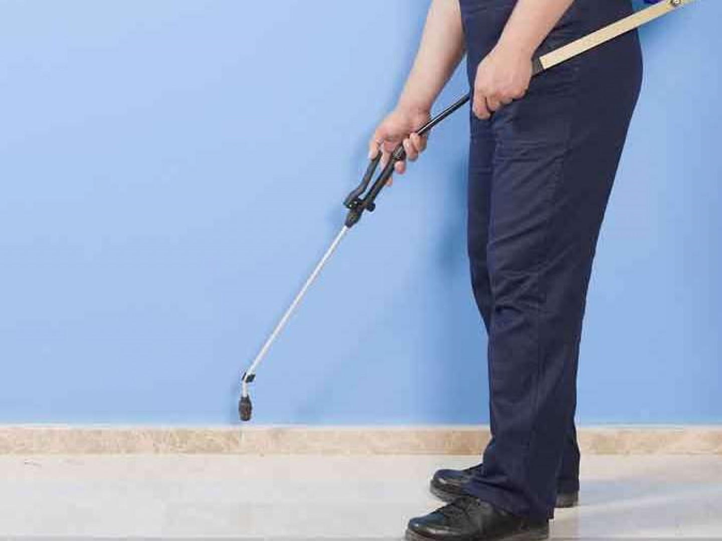 General Pest Control & Removal Services, Local Exterminator | Abilene ...